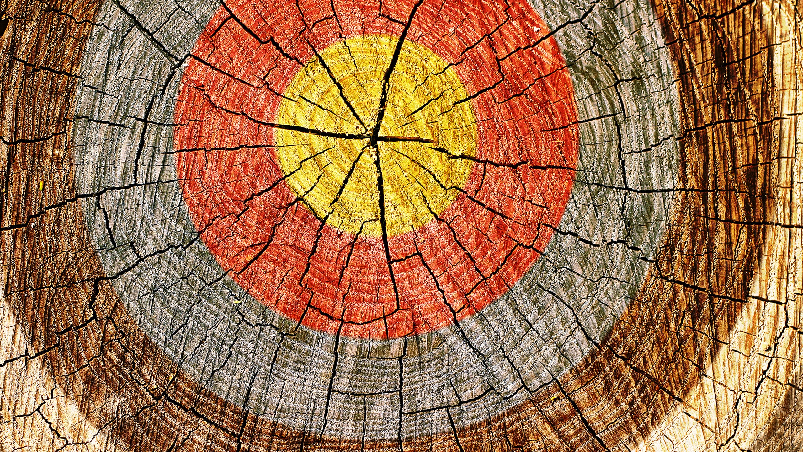 Blog - 3D Archery Targets